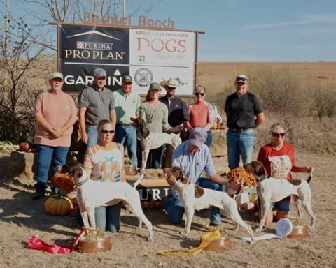 Futurity 2022 | GSPCA German Shorthaired Pointer Club of America