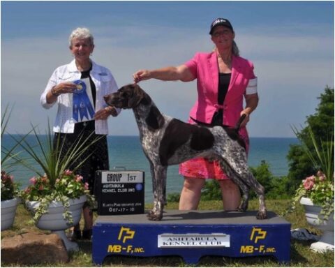 Kan Point’s Leading the Chase | GSPCA German Shorthaired Pointer Club ...